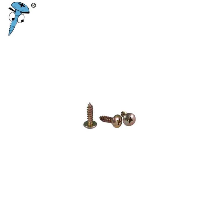 Truss Head Self Tapping Screws | From Screw Factories-Prince Fastener
