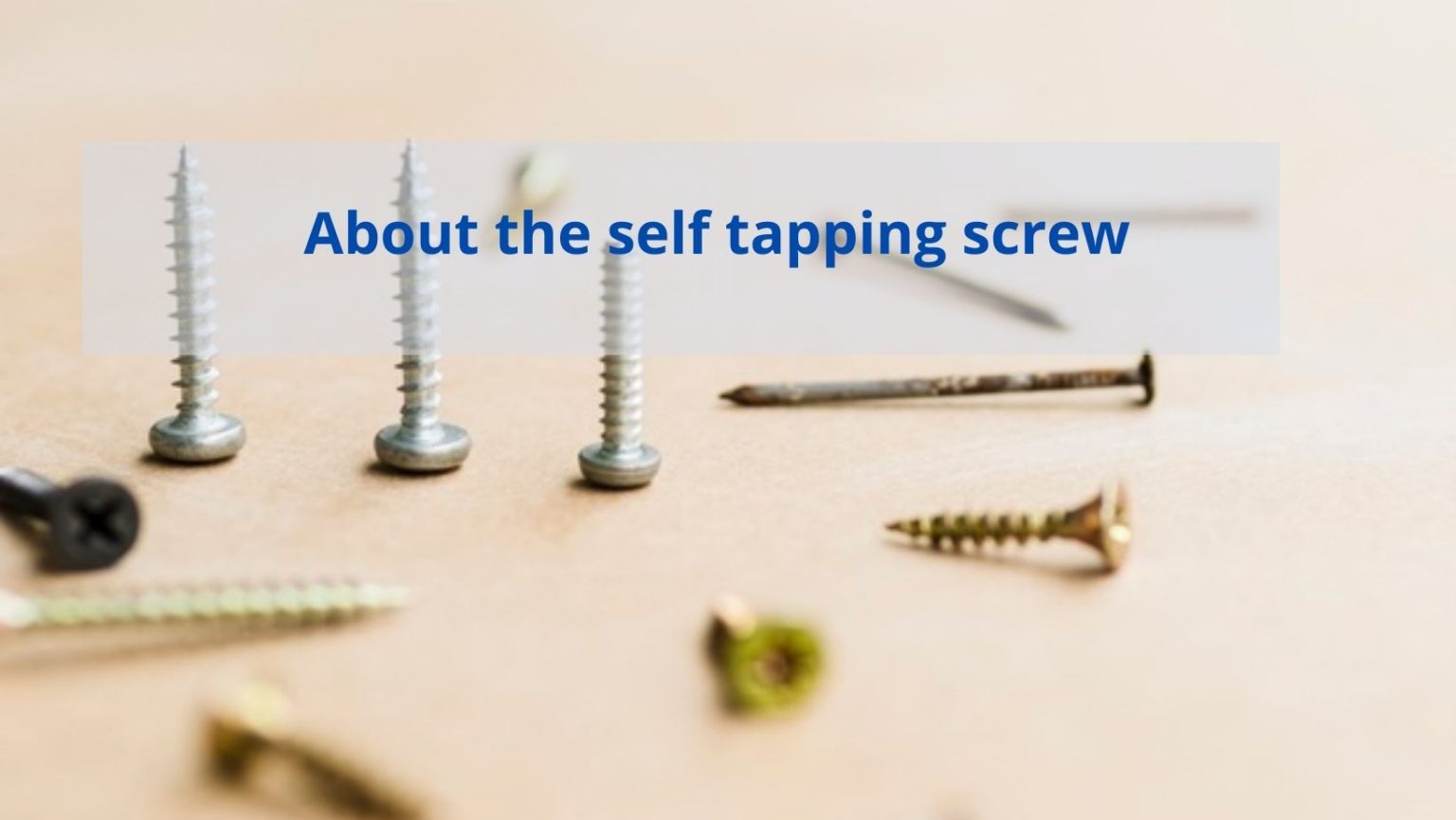 You need to know all about the self tapping screw Screws and Fasteners ...